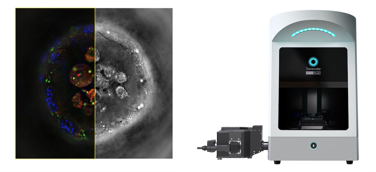CrestOptics and Tomocube partner to advance 3D imaging with new multimodal imaging platform